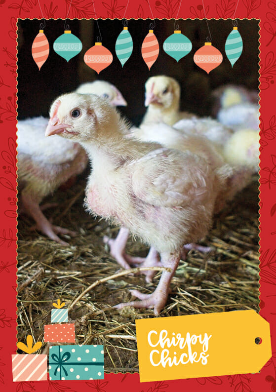 Gift Wrapped – All We Can